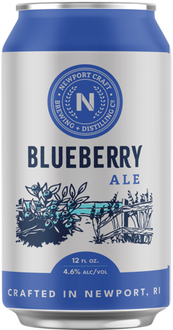 Beer Ri Newport Craft 6pk Blueberry Ale – Point Wine & Spirits